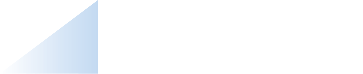 Team – Blue Delta Capital Partners